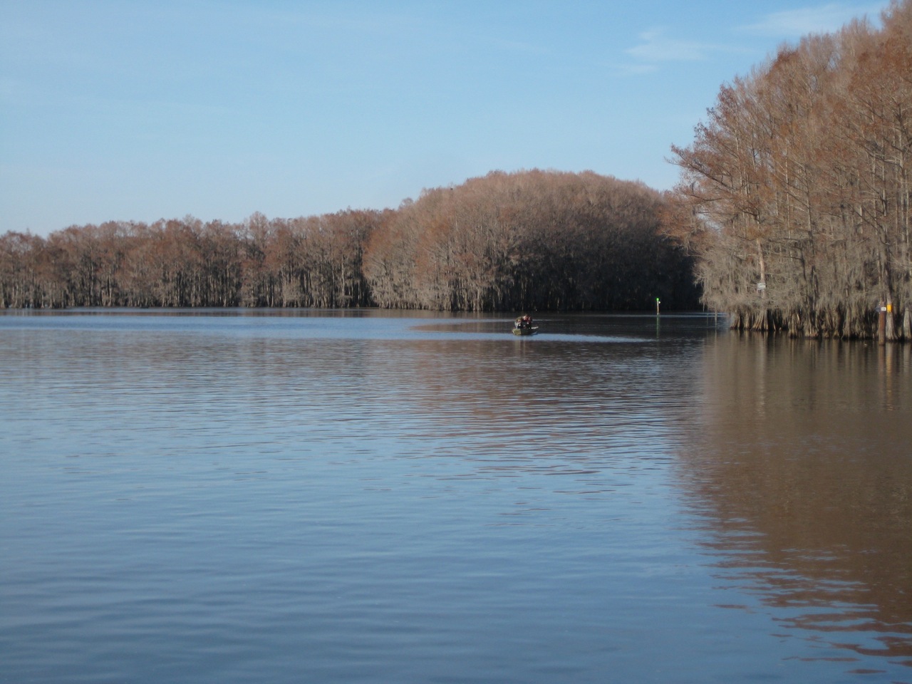 Caddo Swamp Er Caddo Lake The Daytripper
