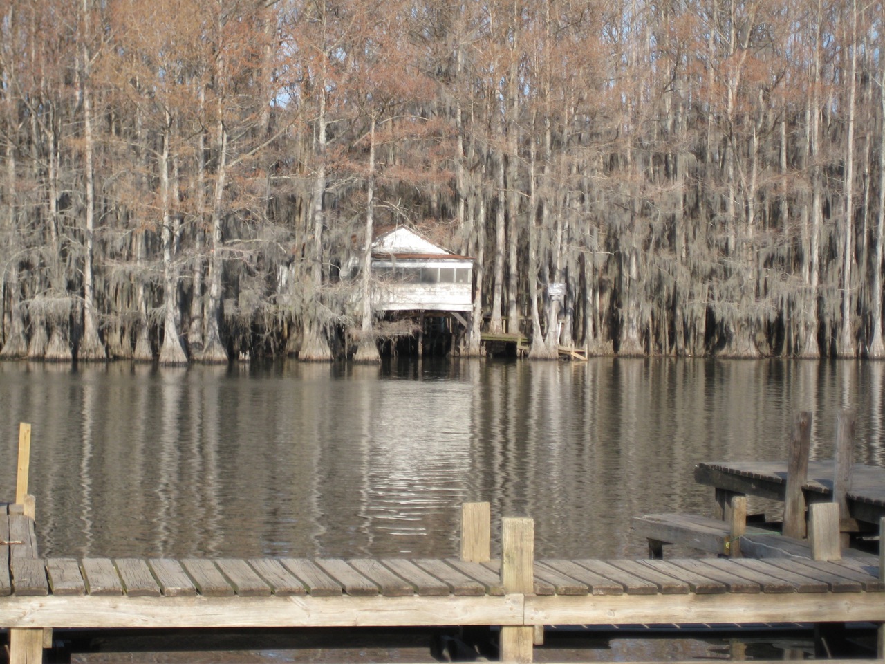 Caddo Swamp Er Caddo Lake The Daytripper