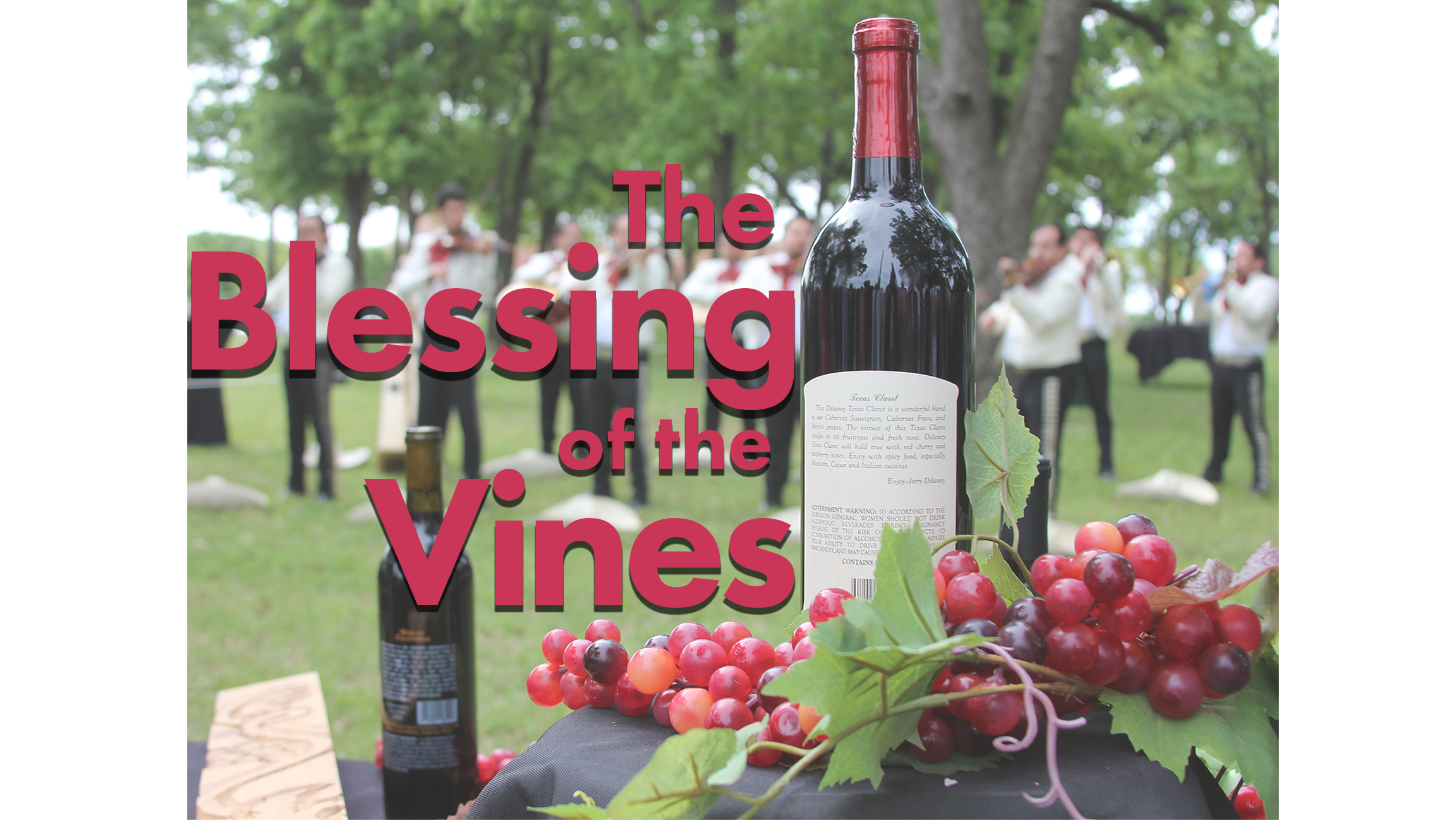 The Blessing of the Vines | The Daytripper