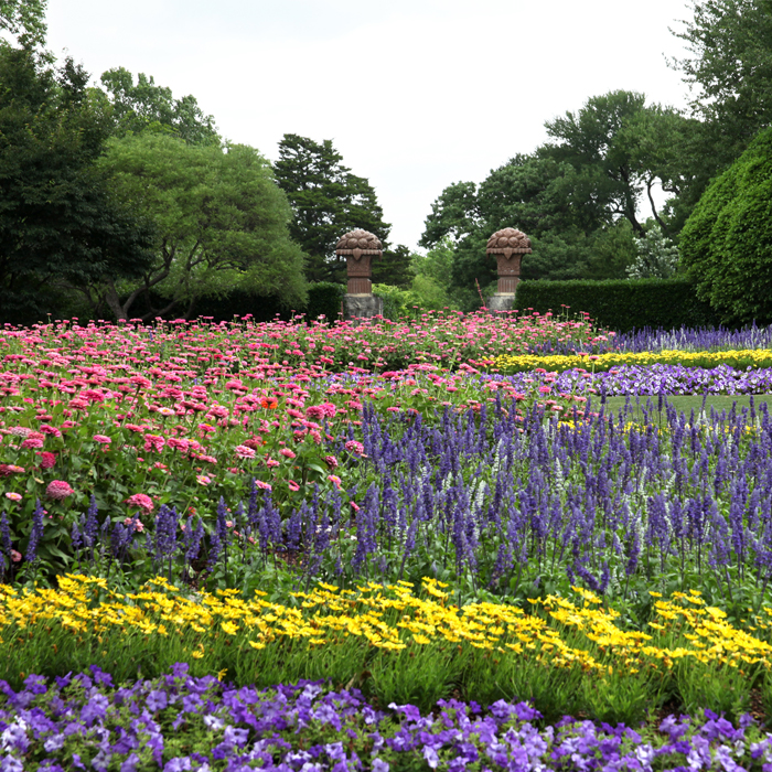 7 Mother's Day Gifts in Texas - The Daytripper