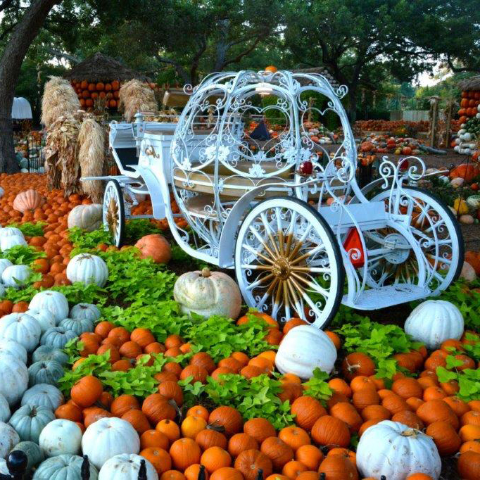Fall Festivals & Pumpkin Patches! - The Daytripper
