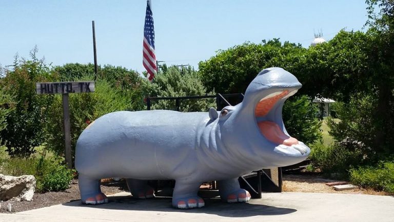 The Wacky History Road Trip | The Daytripper