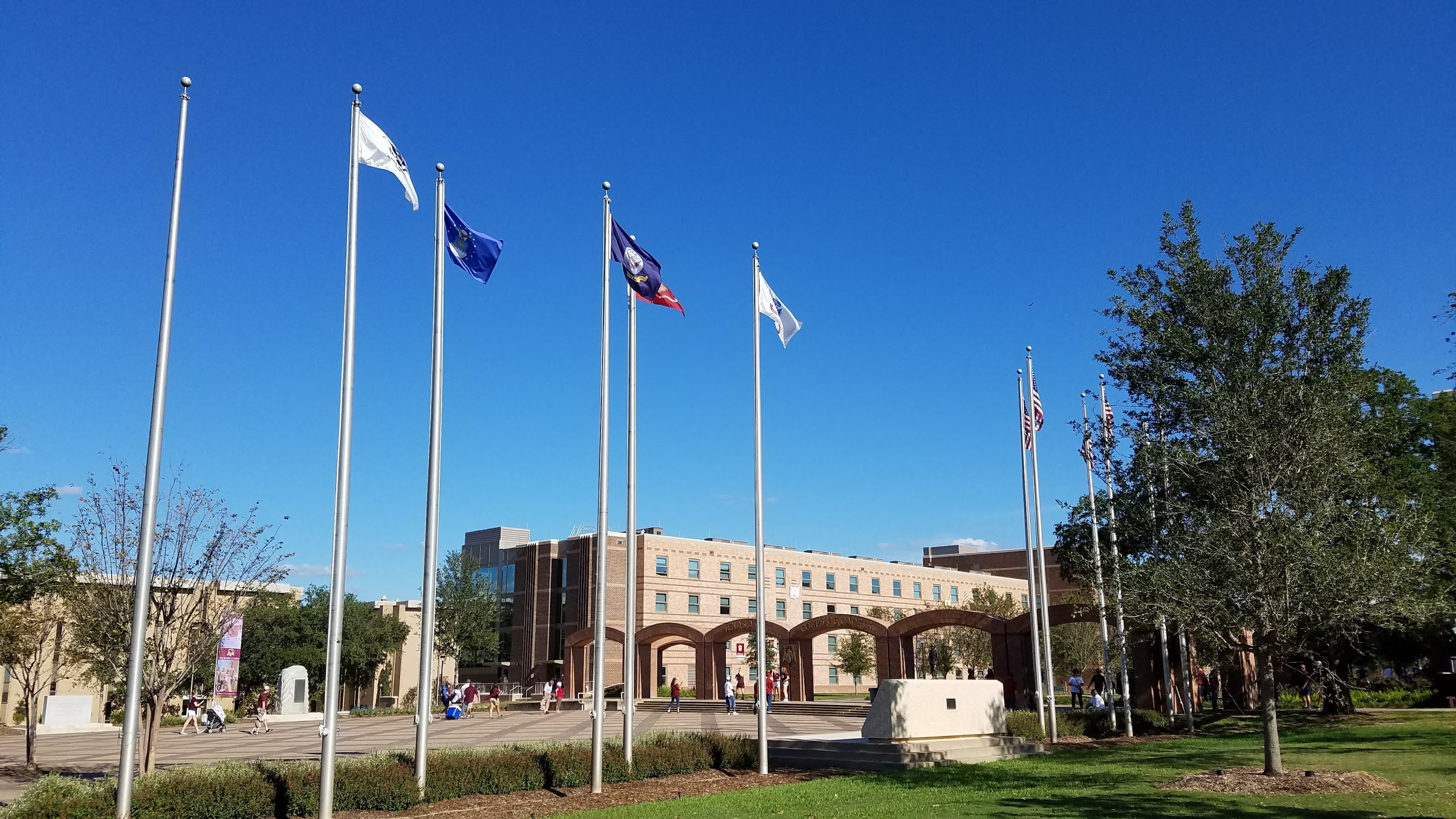 A Longhorn in Aggieland - The Daytripper