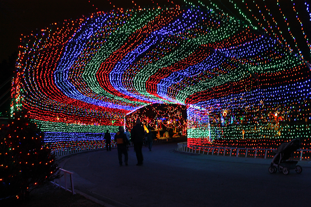 Trippin' the Austin Trail of Lights - The Daytripper
