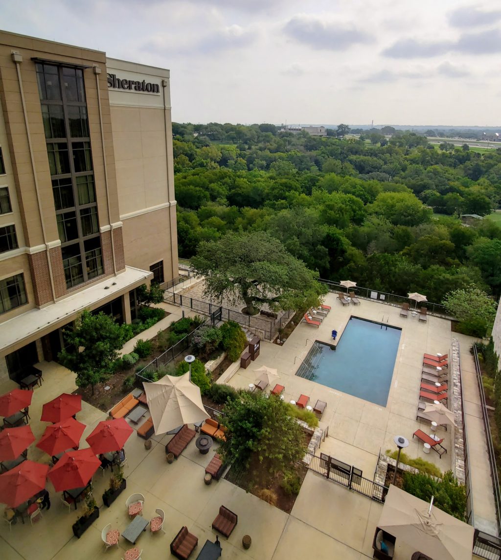 2020 Look Back - The Daytripper